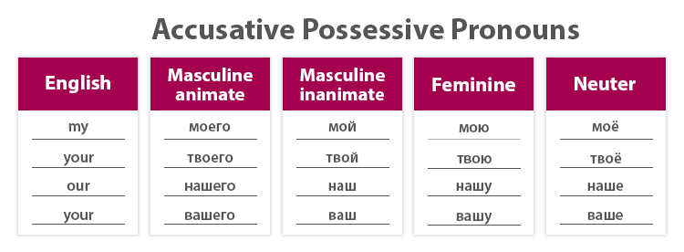 The Accusative Case in Russian